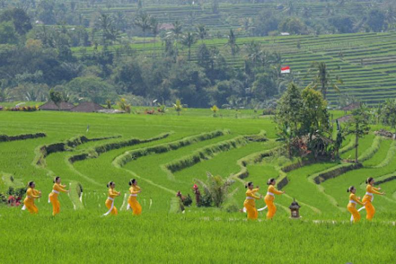 Jatiluwih Lebih dari Sekedar Sebuah Desa Wisata | Bali Tribune